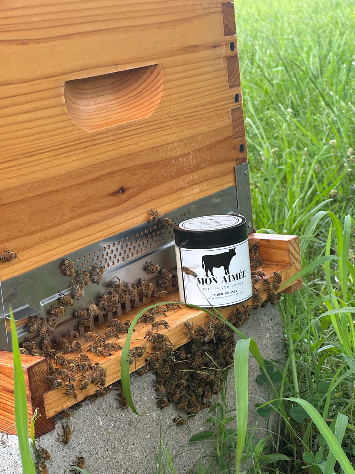 monaimeecreations.com – Mon Aimee Creations